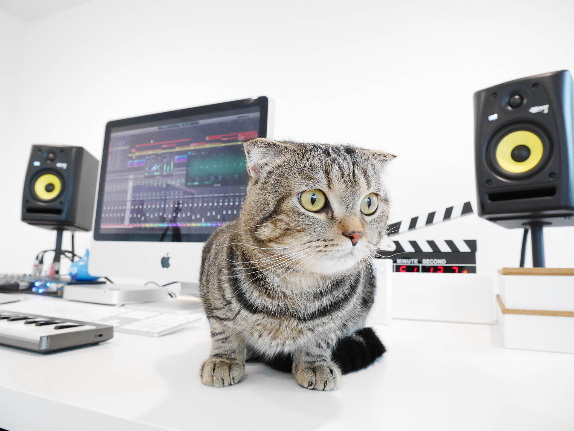 VERYCATSOUND : Music Designer - รับแต่งเพลง รับทำเพลงโฆษณา รับทำดนตรี
